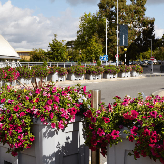 Floor Standing Planters - Plantscape provider of floor standing planters